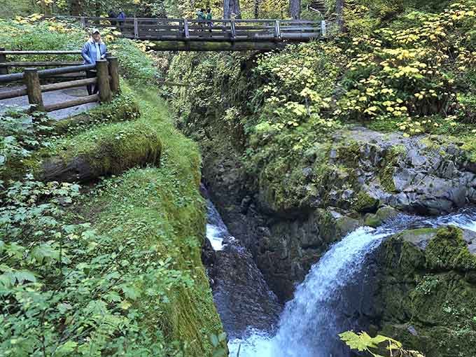 This wooden bridge overlooks a moss-covered gorge so green it makes your lawn look positively beige by comparison.