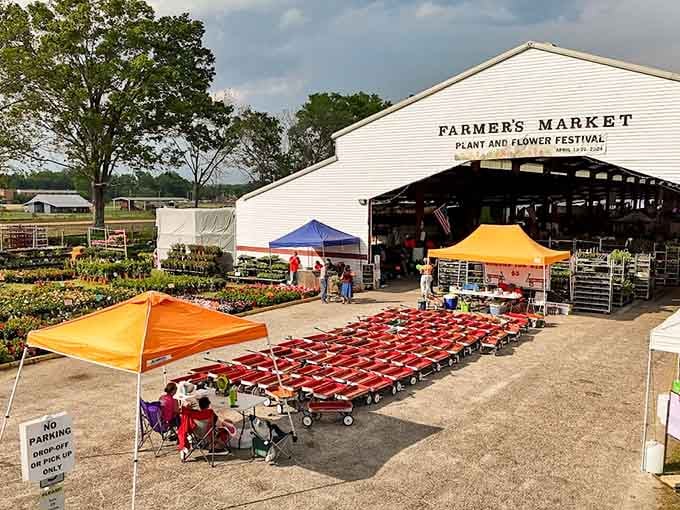 Bright canopies dot the landscape like a carnival of commerce, with rows of plants stretching toward the horizon.