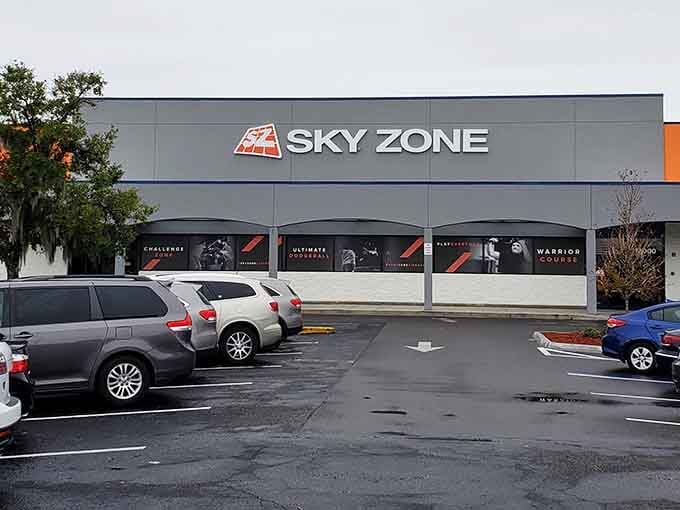 The sleek exterior promises indoor adventures where gravity becomes more of a suggestion than a rule.