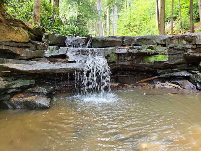 Water tumbles down layered rock shelves like nature built its own gentle stairway, each tier catching sunlight perfectly.