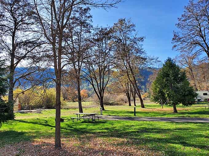 Shaded picnic spots along the Rogue River create the perfect lunch setting with mountain views included free.