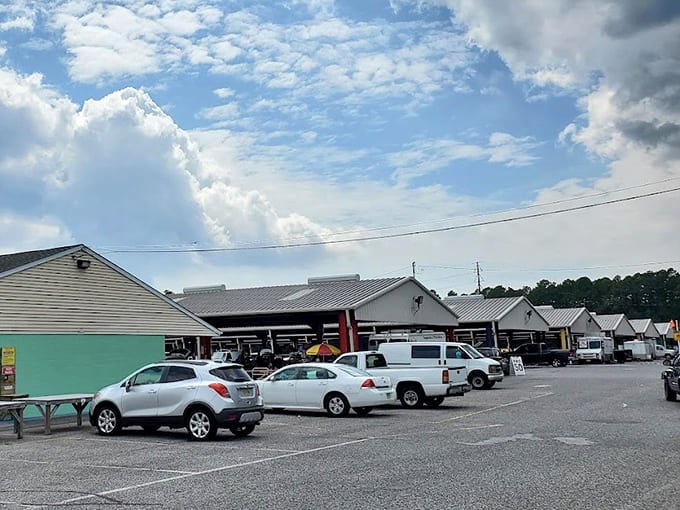 Those dramatic clouds frame a sprawling marketplace where one person's clutter becomes another's prized possession every single weekend.