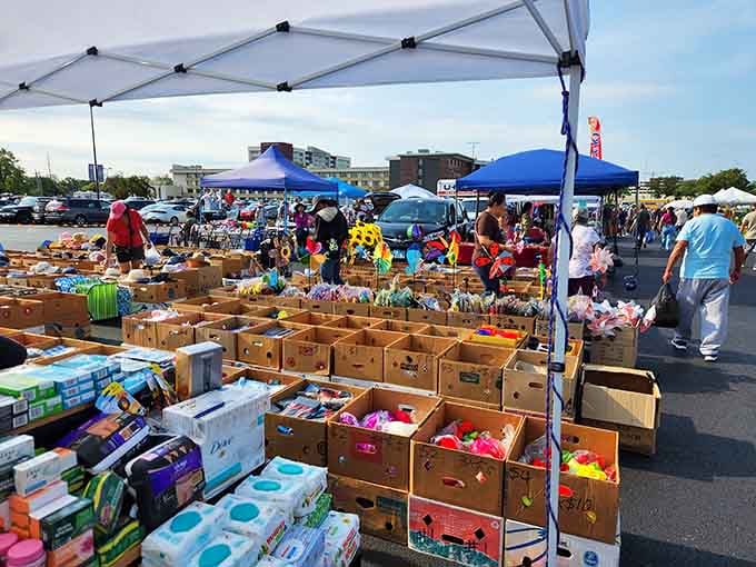 Cardboard boxes overflow with colorful treasures under blue tents, turning an ordinary parking lot into a bargain hunter's paradise.