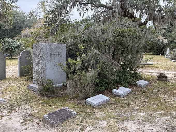 When nature and history intertwine this beautifully, even the moss-covered stones seem to whisper old Lowcountry secrets.