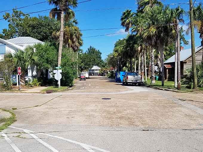 Palm trees tower over quiet residential streets where the pace of life moves at yesterday's comfortable speed.