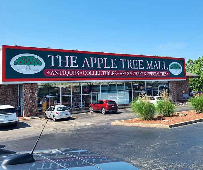 Blue skies and ample parking make this sprawling antique mall an easy stop during your Branson adventure.