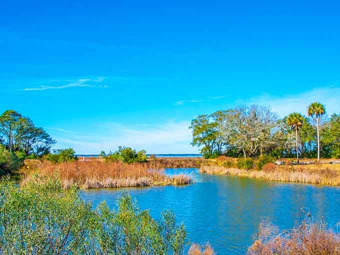 That brilliant blue water against the marsh grasses creates a color palette that would make any painter jealous.