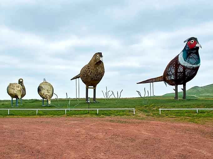 These towering scrap metal figures transform ordinary farm junk into extraordinary roadside art that stops traffic.