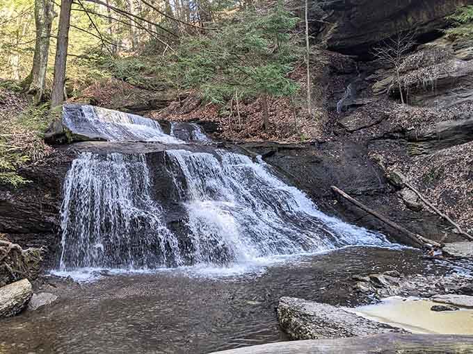 The rocky terrain and fallen logs add character to this hidden gem tucked away in the forest depths.