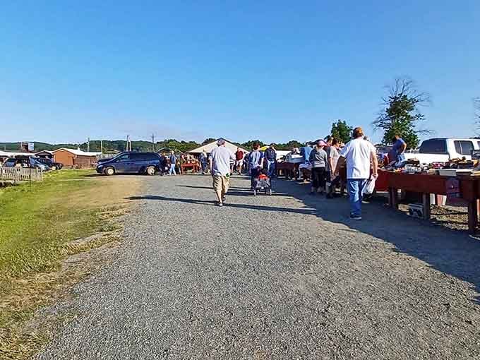 Shoppers gather along vendor rows where community spirit meets commerce under the open Pennsylvania sky.
