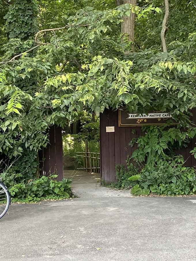 Mother Nature practically swallowed this entrance whole, which makes discovering it feel like winning a treasure hunt.