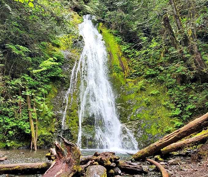 Surrounded by vibrant ferns and lush greenery, this elegant cascade proves that good things come in graceful packages.