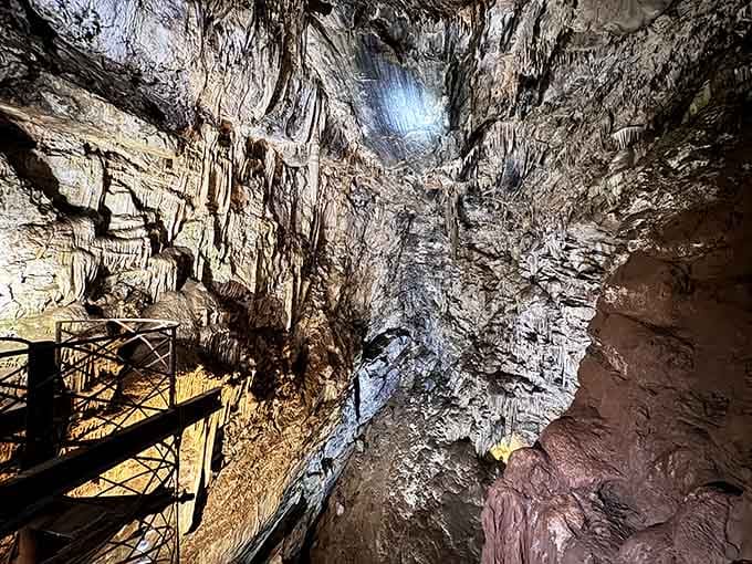 The cavern soars overhead like nature's answer to the Sistine Chapel, minus the scaffolding and back pain.