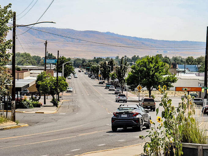 Tree-lined streets slope toward distant hills, framing a view that makes you understand why people settle in valleys.