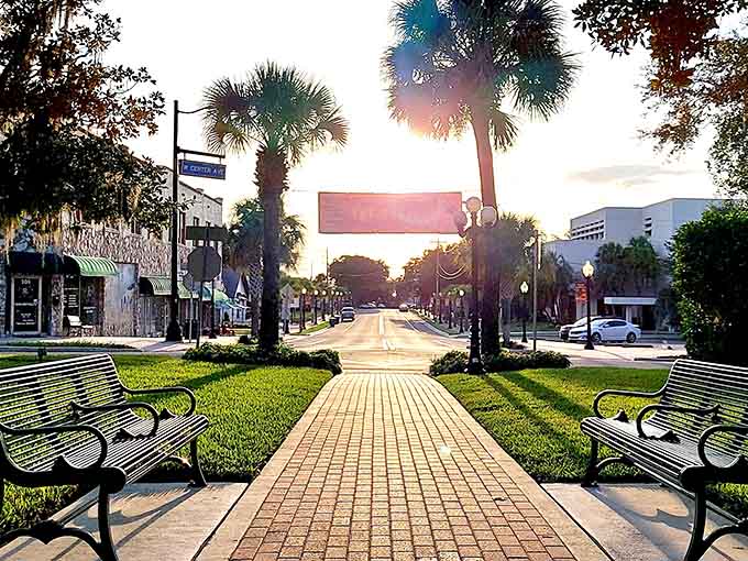 Palm trees frame the sunset perfectly, and those benches invite you to sit and watch the world slow down.