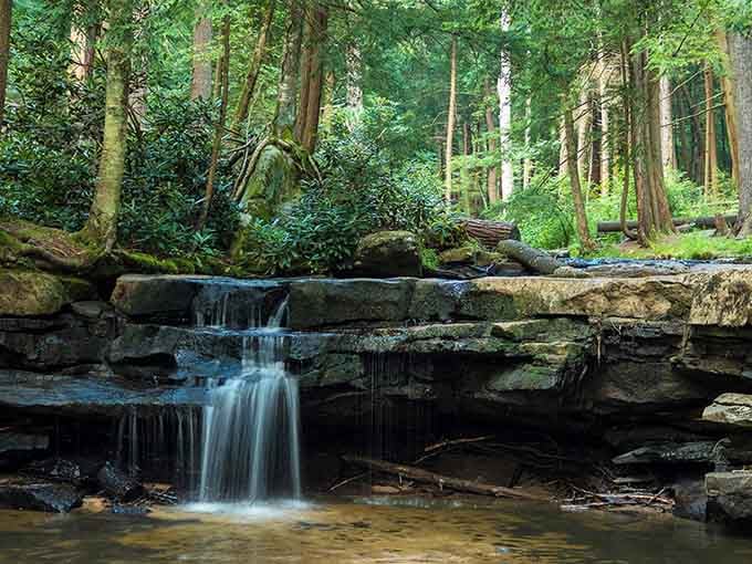 The forest cathedral surrounds this tiered cascade, where hemlock trees stand guard over water flowing through ancient stone.