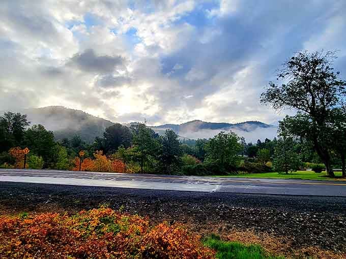 Morning mist rolls across these riverside meadows like nature's own special effects department showing off beautifully.