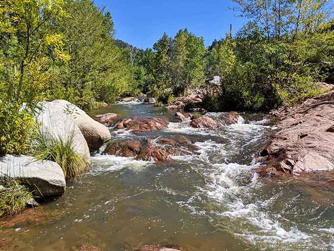 This peaceful creek setting offers the perfect soundtrack for contemplating life's simple pleasures and beauty.