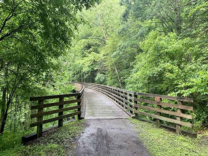 This Virginia Creeper Trail bridge whispers promises of adventure through forests that belong on postcards.