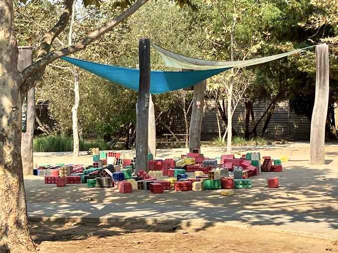 Under this shaded canopy, colorful blocks become cities, spaceships, or whatever wild creations young minds can dream up today.