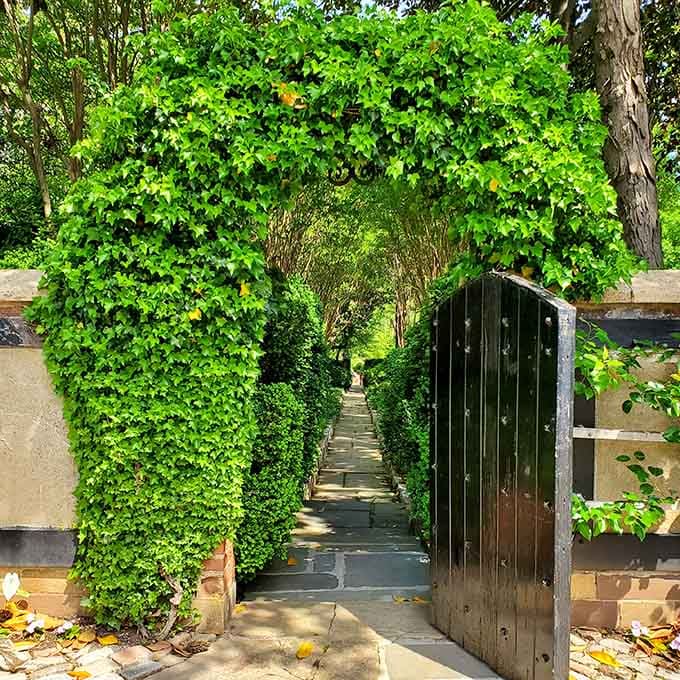Every great garden needs a secret entrance, preferably one that makes you feel like you're in a mystery novel.