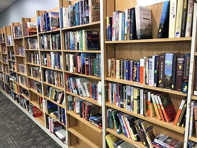 These book spines hold countless stories, from bestsellers to forgotten gems waiting for their next devoted reader.