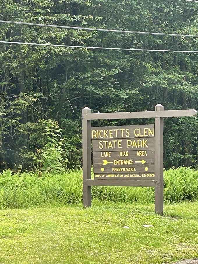 This wooden welcome sign promises Lake Jean adventures ahead, and trust me, it delivers on every single word.