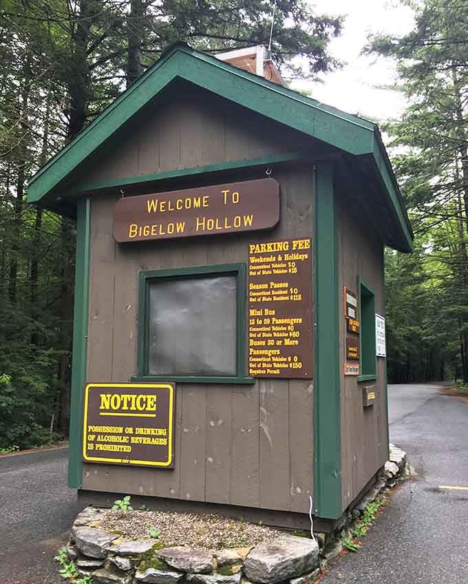 Even the entrance booth has that rustic charm that says "leave your worries at the gate."
