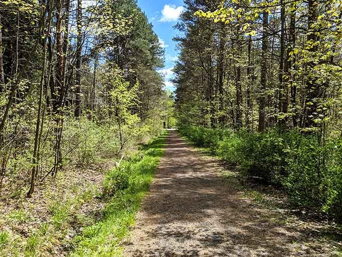 Nature trails wind through woods where the only traffic jam involves deciding which path looks more inviting for exploration.