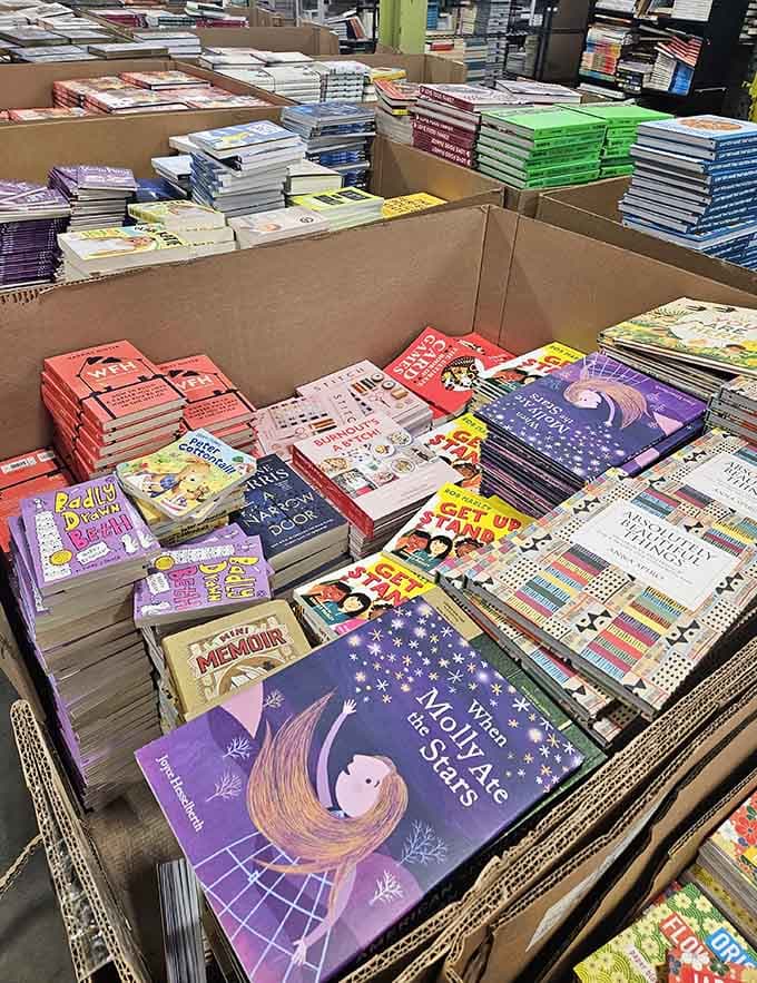 Children's books stacked in cardboard bins like literary treasure chests waiting to spark young imaginations everywhere.