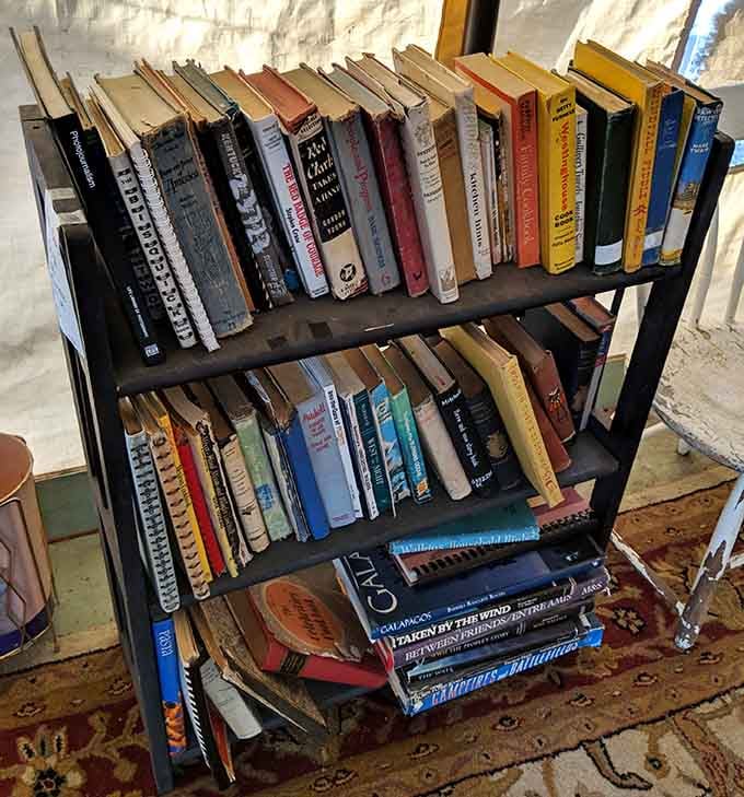 Literary treasures await bibliophiles in this carefully curated collection. Spot any first editions? The hunt is half the fun.