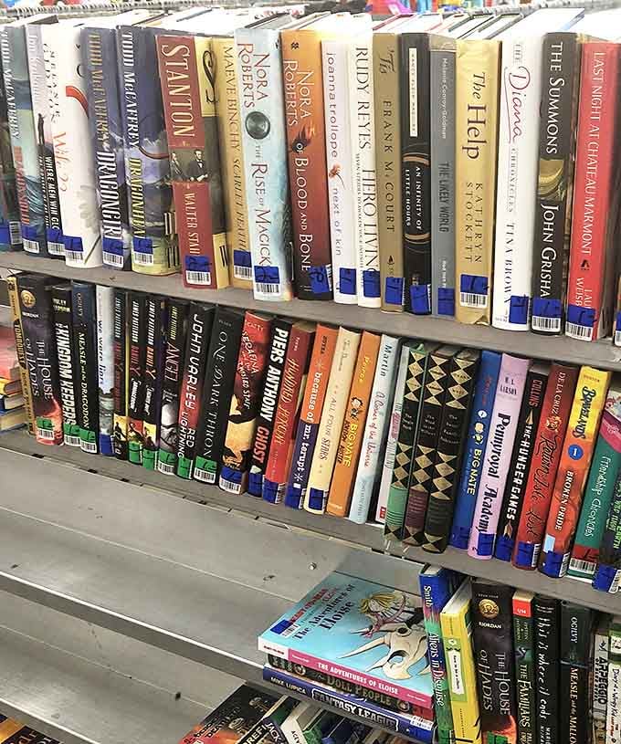 Literary gold mines await between these shelves. Someone's discarded Stephen King could be your next late-night companion for less than a latte.