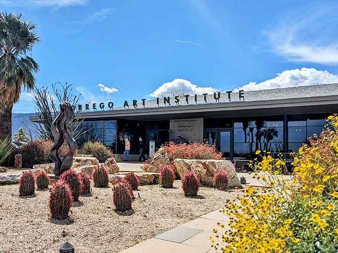 The Borrego Art Institute sits surrounded by blooming barrel cacti that add their own colorful commentary to the scene.