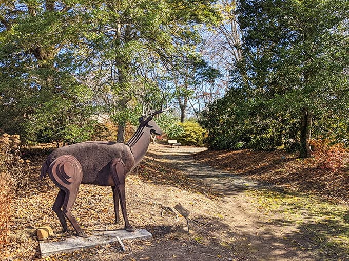 Metal sculptures add artistic flair to Brevard's parks, because even the deer deserve to be immortalized in rust-resistant materials.