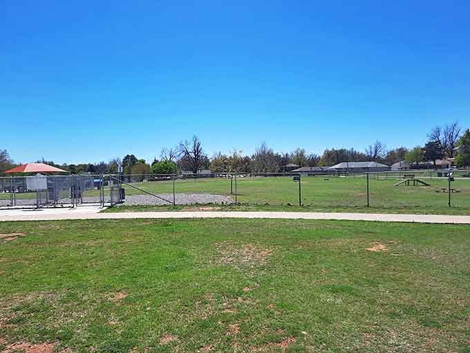 Centennial Park offers wide-open green spaces where kids can run free and adults can remember what it's like to have that kind of energy.