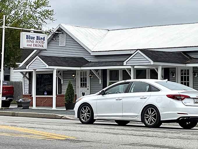 Blue Bird's unassuming exterior hides the kind of food that makes you reconsider your dinner plans.