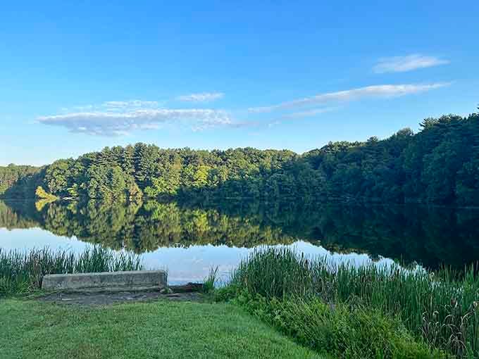 Chicopee Memorial State Park's reservoir reflects the sky so perfectly, nature's showing off again.