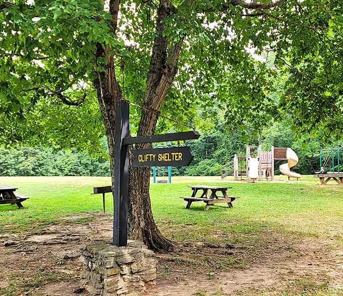 Clifty Falls State Park provides shaded picnic areas where conversations flow as naturally as the nearby waterfalls.