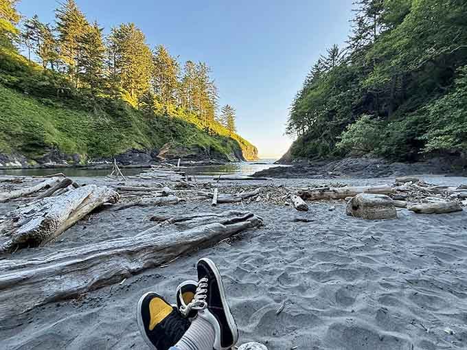 Driftwood sculptures scattered across the sand like nature's own art installation, no museum admission required here.