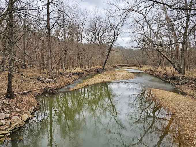 Winter's bare branches frame the peaceful stream, proving Missouri's beauty doesn't take a seasonal vacation.