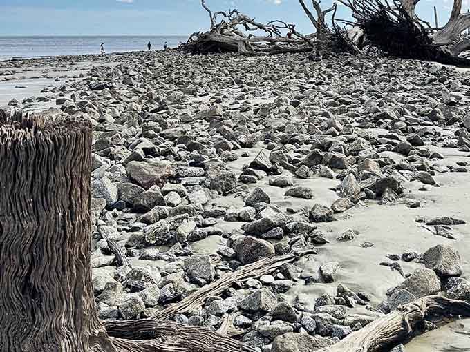 Low tide reveals nature's rock collection, assembled over centuries without spending a dime on eBay.