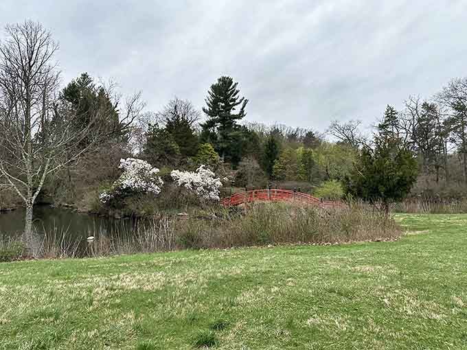 A charming red bridge over tranquil waters, because every great estate needs a spot for contemplative staring.