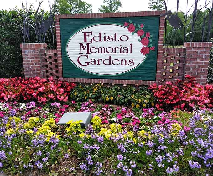 Edisto Memorial Gardens' entrance sign hints at the floral paradise beyond, where roses put on a show more colorful than your uncle's vacation stories.