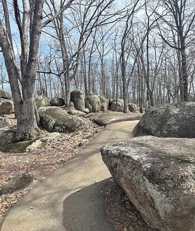 The paved trail winds through this elephant parade like a red carpet for geology enthusiasts and casual wanderers alike.