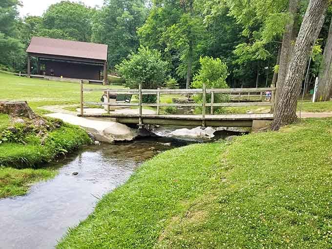 A rustic footbridge crosses crystal-clear waters, offering that "should I skip stones or take photos?" moment every nature lover understands.