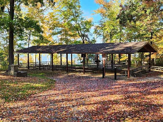 This pavilion offers shade, scenery, and the perfect spot for family gatherings that actually feel relaxing.