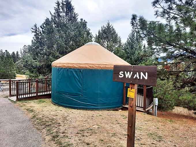 Glamping goes Montana-style with these cozy yurts. "Swan" might be its name, but you'll sleep like a hibernating bear inside.