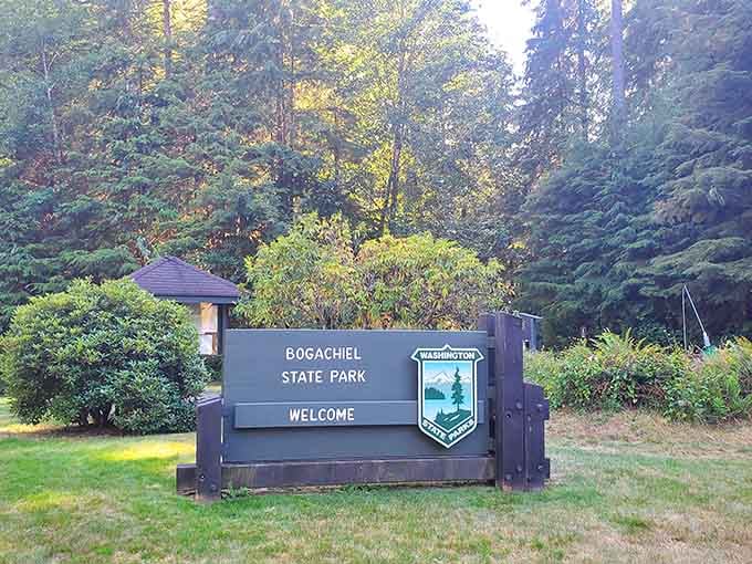 Bogachiel State Park welcomes you to the kind of camping experience your grandparents would recognize and appreciate.