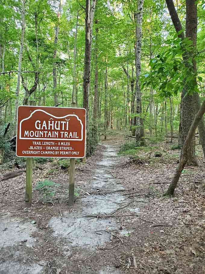 The Gahuti Trail beckons adventurers who aren't afraid of a little honest sweat and spectacular payoff at every turn.