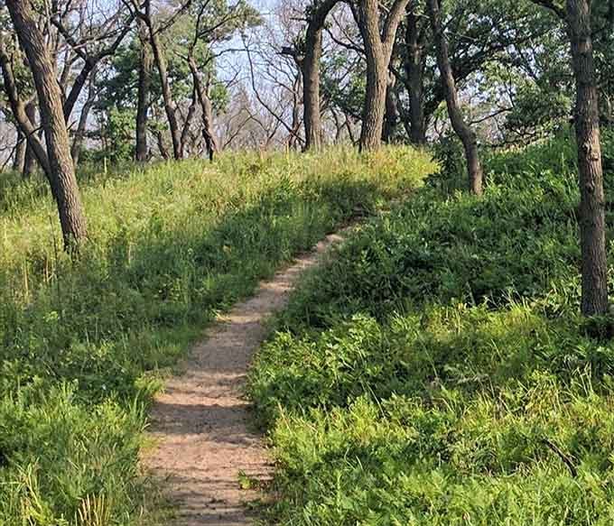 These woods offer a peaceful escape where the only thing abandoned is your stress about modern life.